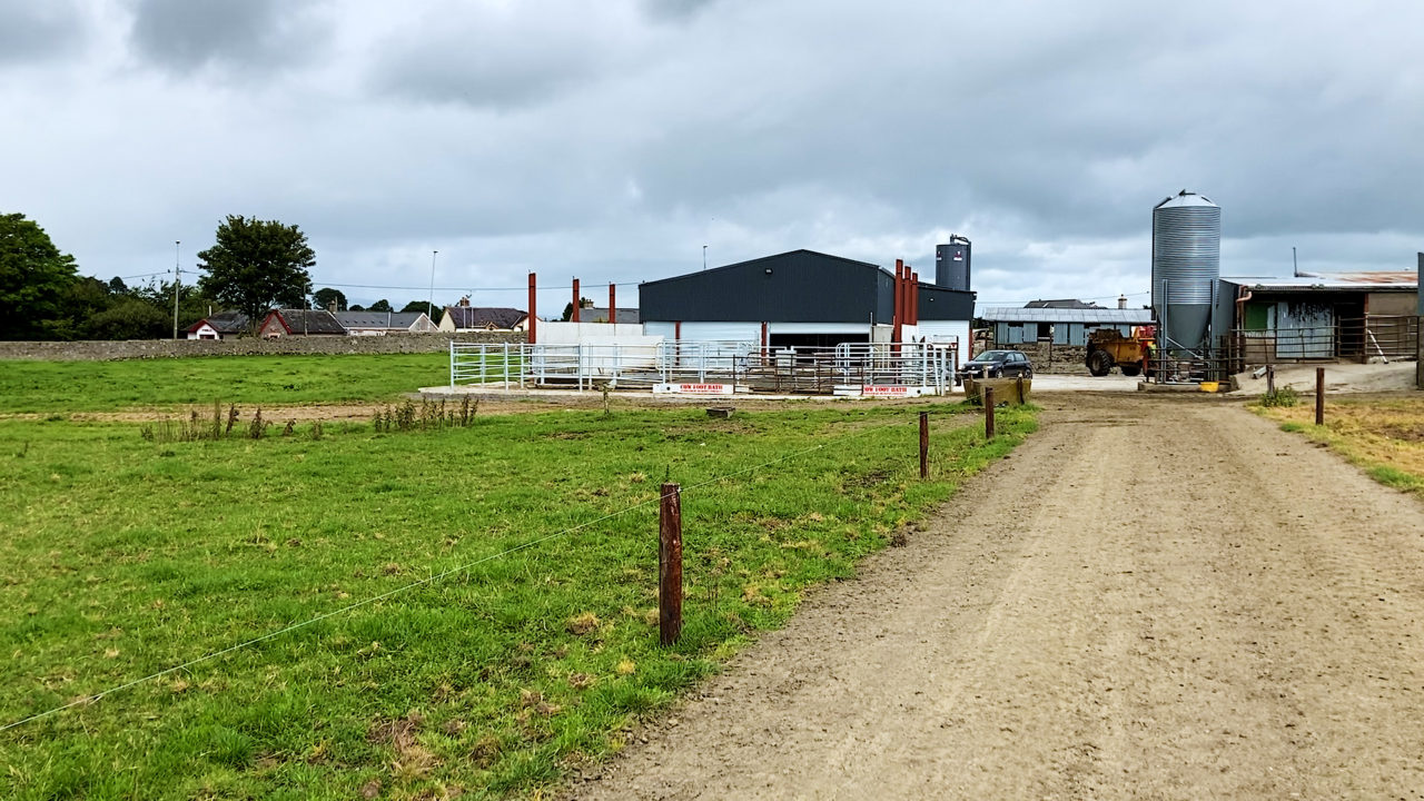 Buildings Focus: Settling in nicely to a new modern dairy unit in Co ...
