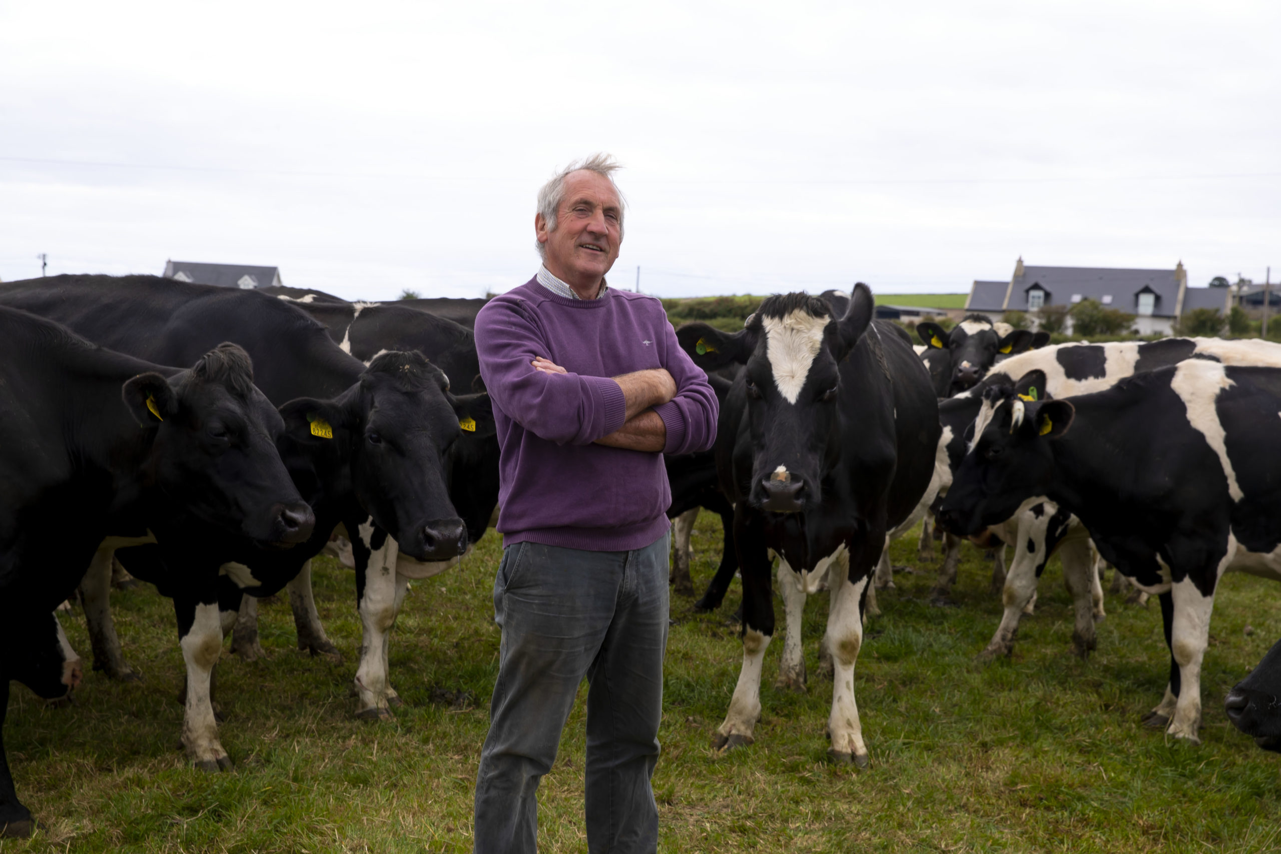 Extending the grazing season on a 360-cow farm in Co. Wexford - Agriland.ie
