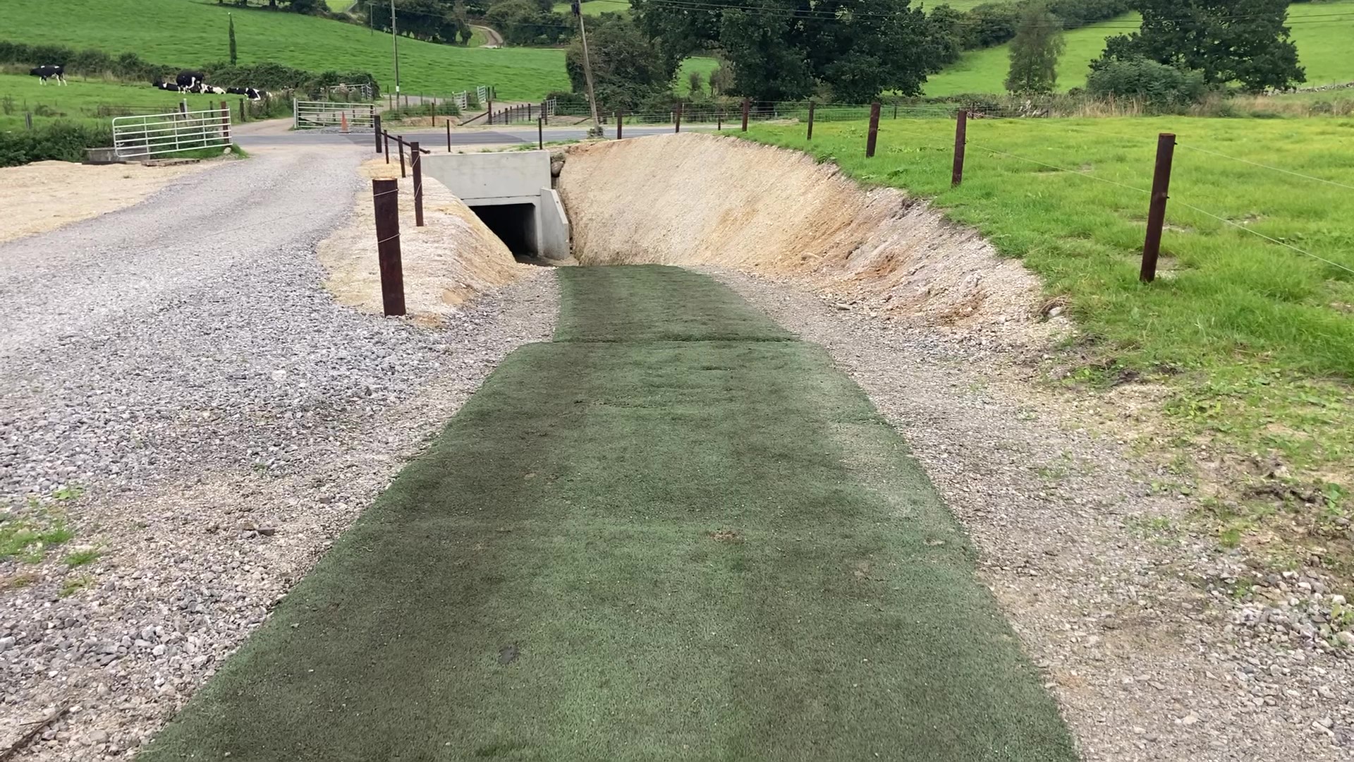 Improving cow flow and comfort with an underpass and astroturf