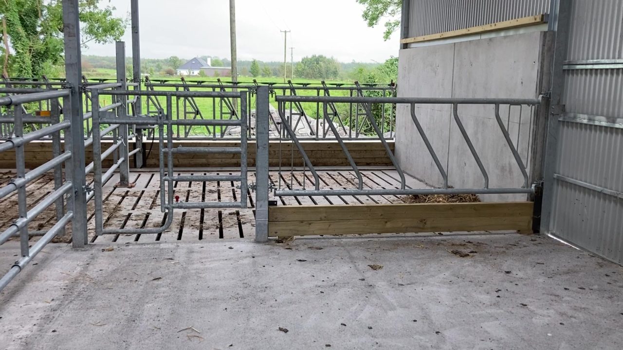 Buildings Focus: Erecting a suckler shed with a creep area over an ...