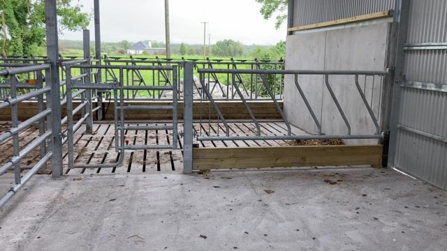 Buildings Focus: Erecting a suckler shed with a creep area over an ...