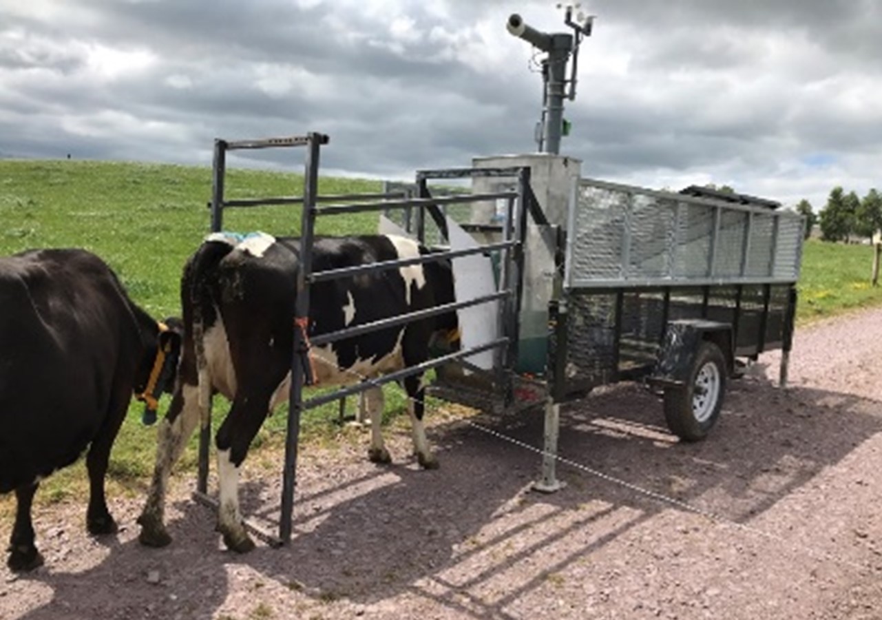 Teagasc: possibility to select cows for lower methane production in ...