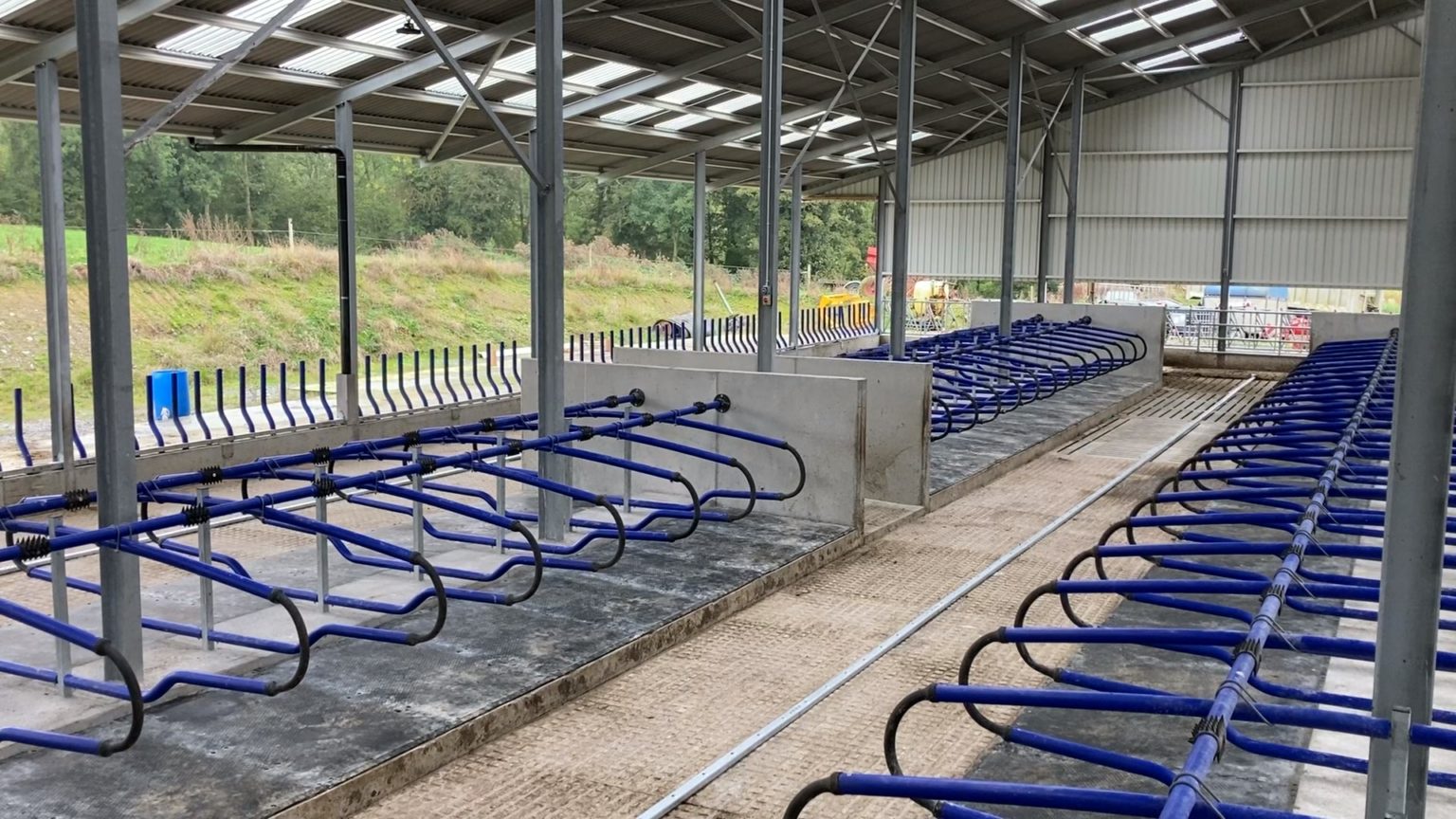 Buildings Focus: A 160-cubicle shed facing into its first full winter ...