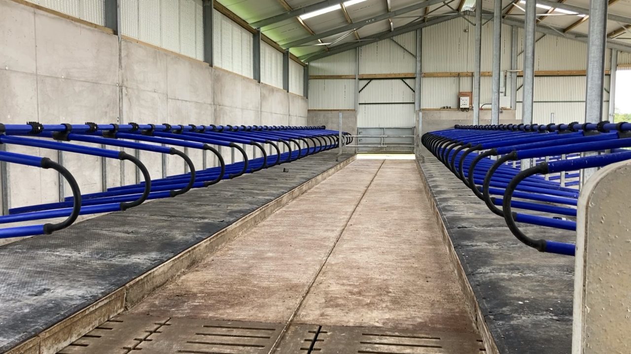 Buildings Focus: A 63-cubicle shed with room left for a parlour in Kilkenny