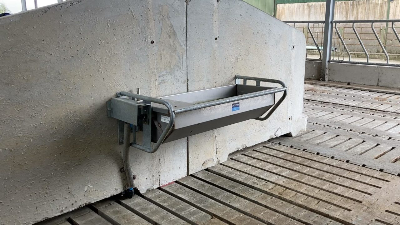 Buildings Focus: A 63-cubicle shed with room left for a parlour in Kilkenny