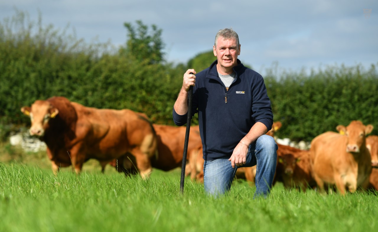 Managing a 'self-reliant' suckler herd in Co. Meath - Agriland.ie