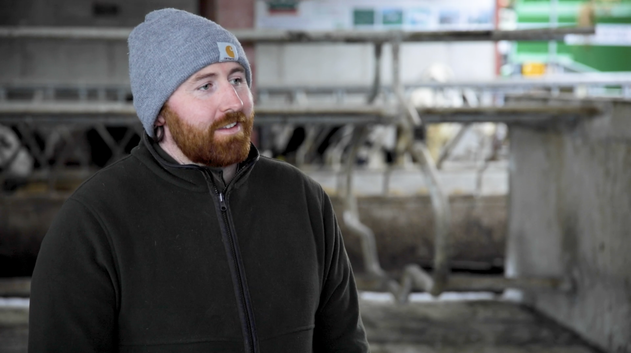 George goes dairy farming: From first-time to full-time farming