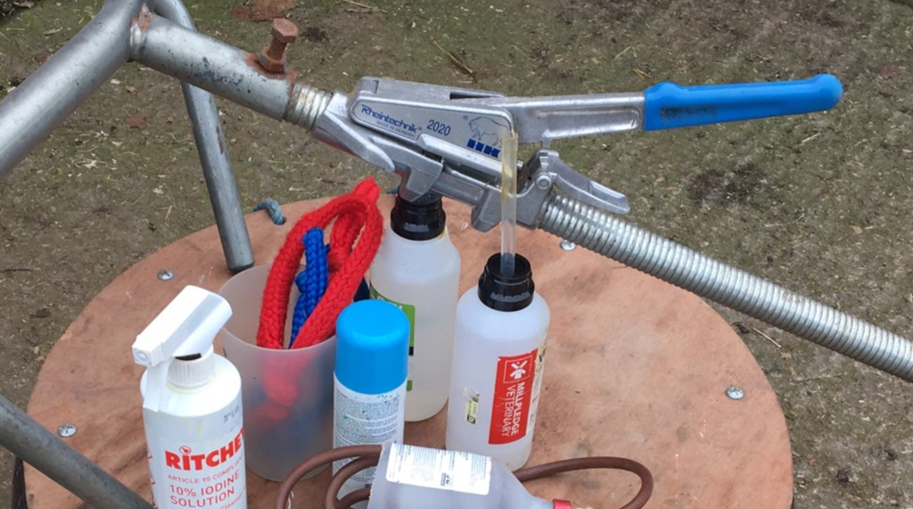 Ensure you have all necessary supplies before calving - Agriland.ie