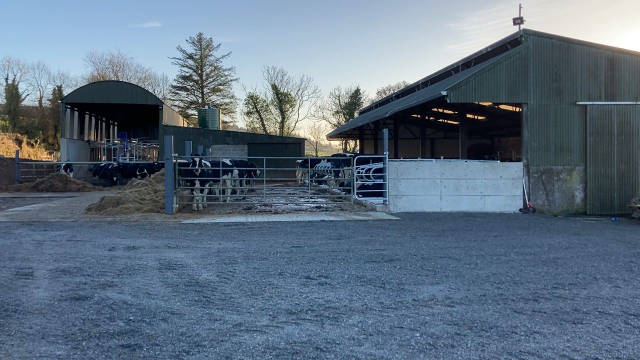 Back In Focus: Converting to dairy with the aid of a hayshed and 5-bay ...