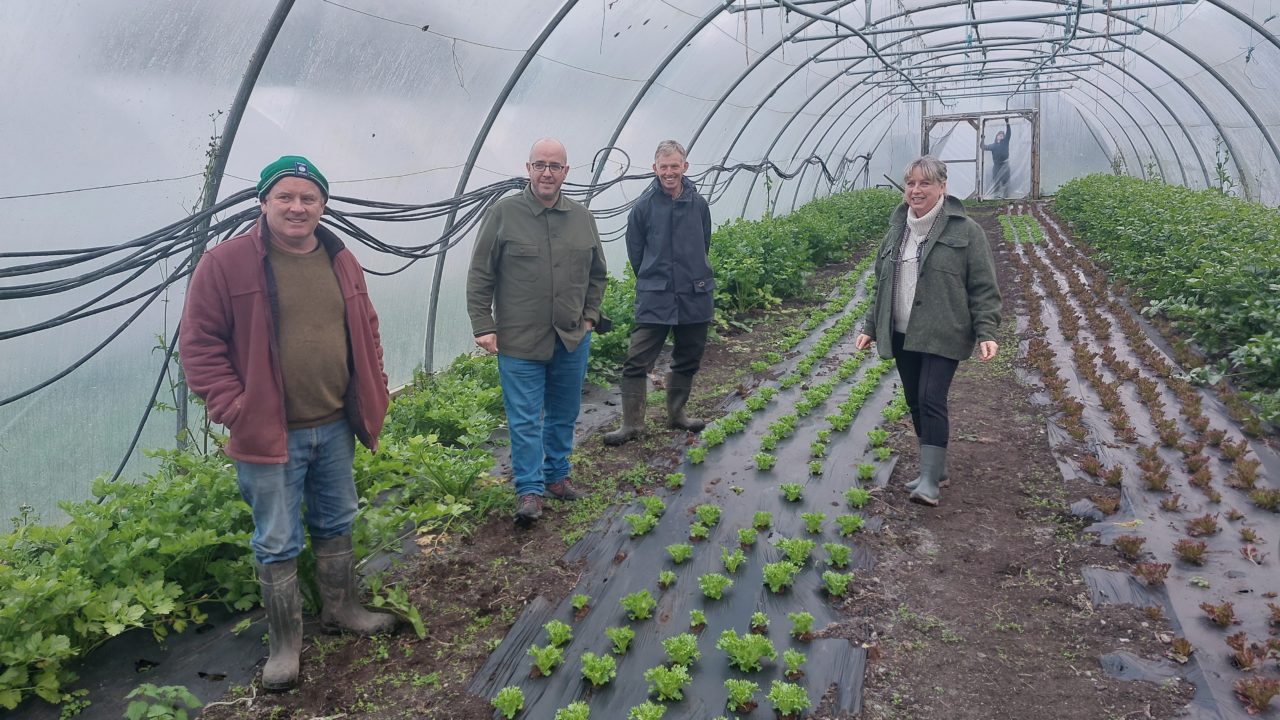 EU project sees Irish organic growers double sales in 3 years - Agriland.ie