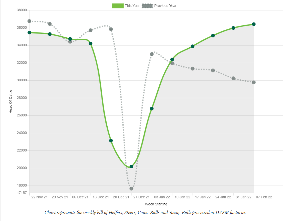 Beef kill: Cattle numbers increase for sixth week in a row - Agriland.ie