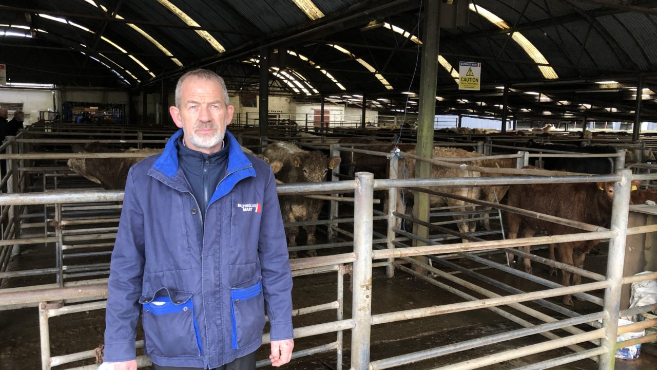 New manager takes the reins at Baltinglass Mart - Agriland.ie