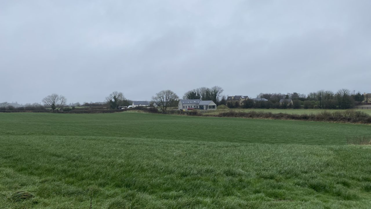 'Outstanding' Kildimo roadside holding for sale - Agriland.ie