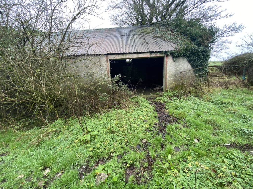 'Outstanding' Kildimo roadside holding for sale - Agriland.ie