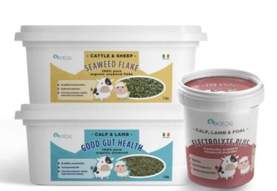 Using seaweed to enhance livestock production and overall health ...