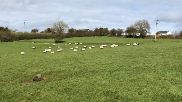 Latest Farming News - Farming In Ireland - Farm Ireland - Agriland