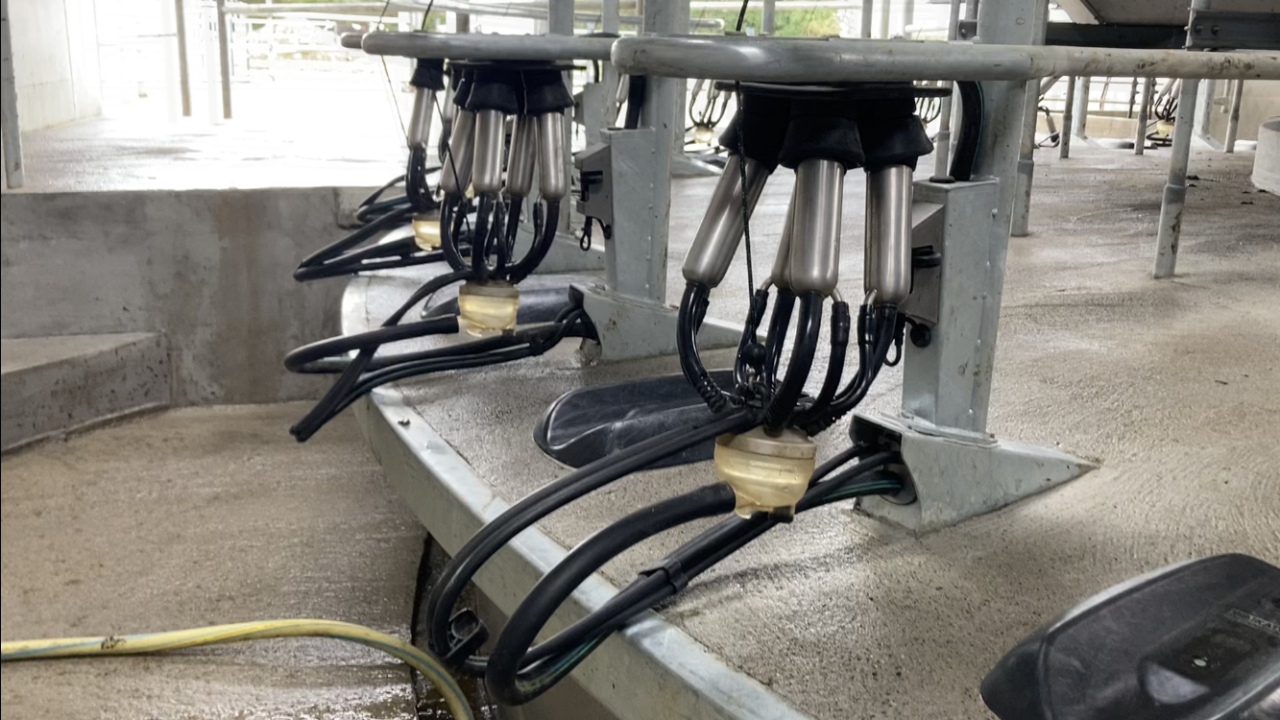 Buildings Focus: A 30-bail rotary for a 160-cow herd in Tipperary