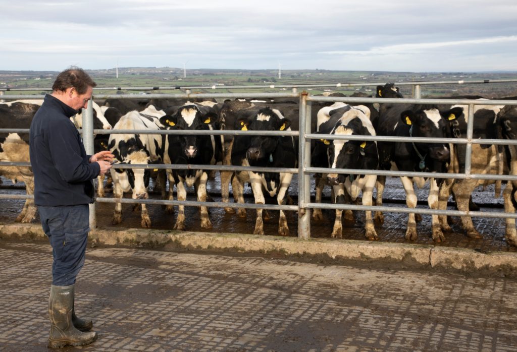 Technology is the way forward on this Co. Kerry dairy farm - Agriland.ie