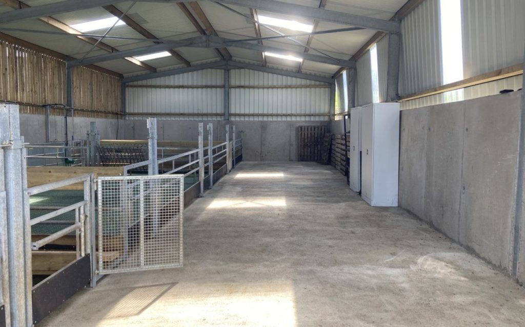 Buildings Focus: 4-bay slatted sheep shed with handling unit in Kerry