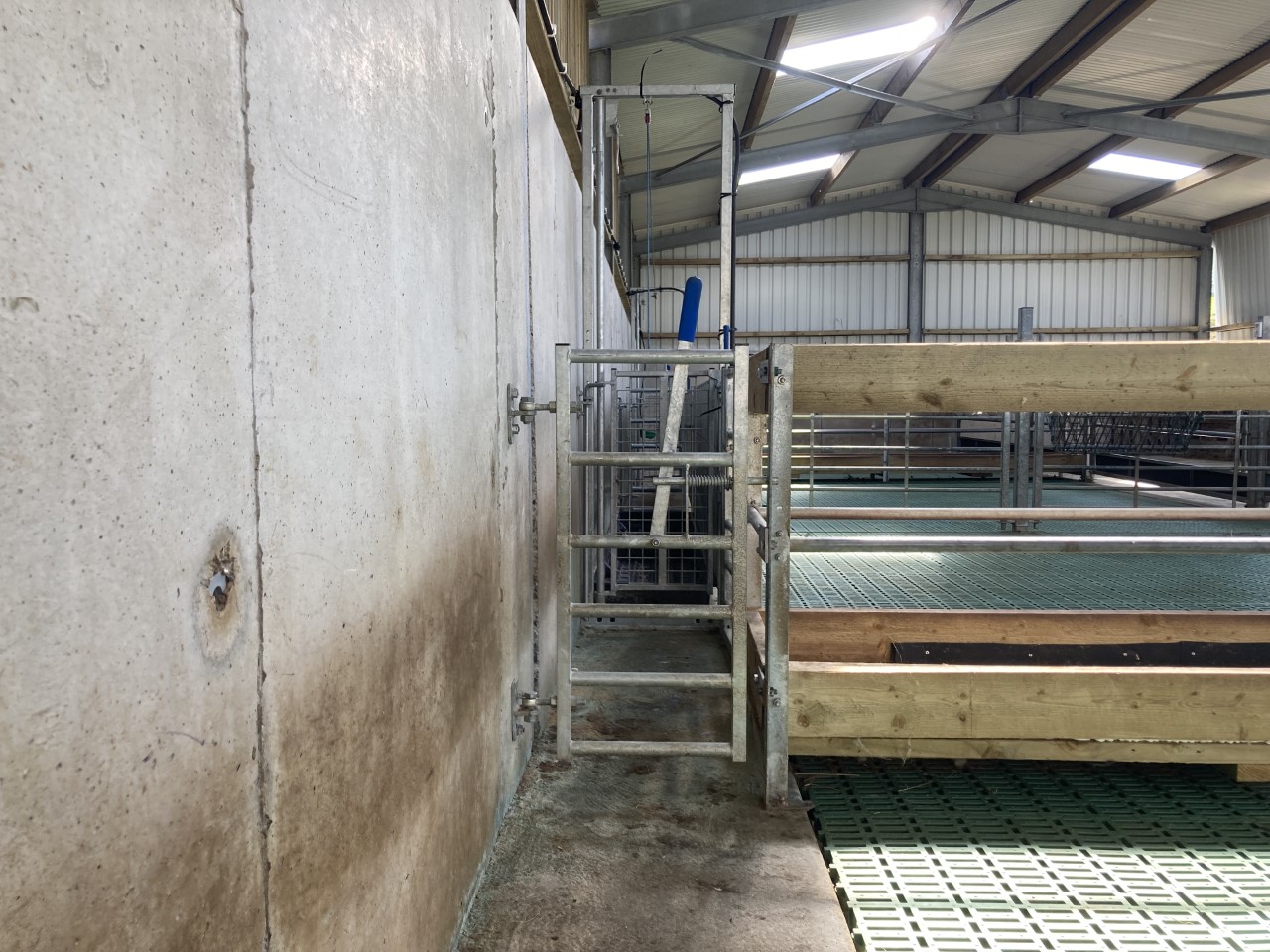 Buildings Focus: 4-bay slatted sheep shed with handling unit in Kerry