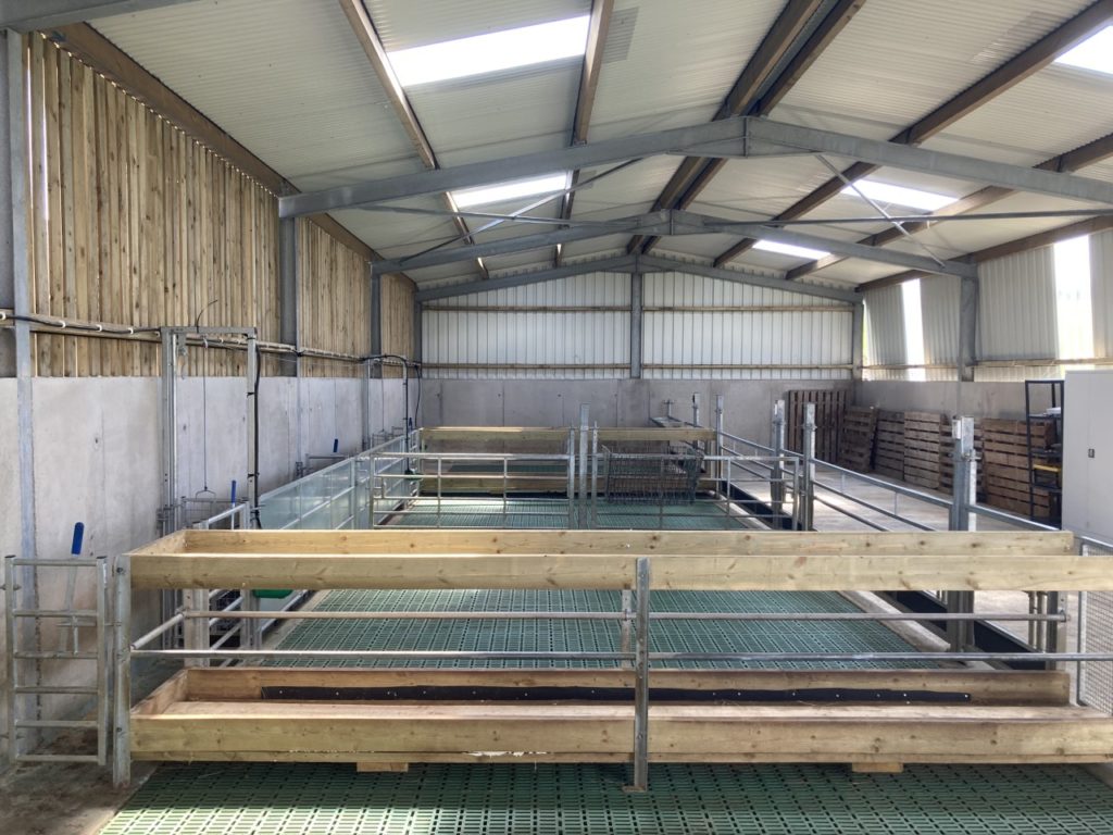 Buildings Focus: 4-bay slatted sheep shed with handling unit in Kerry