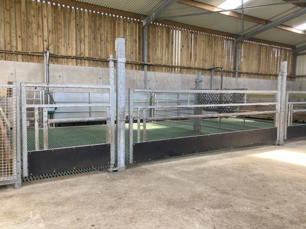 Buildings Focus: 4-bay slatted sheep shed with handling unit in Kerry