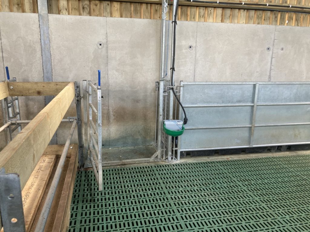 Buildings Focus: 4-bay slatted sheep shed with handling unit in Kerry