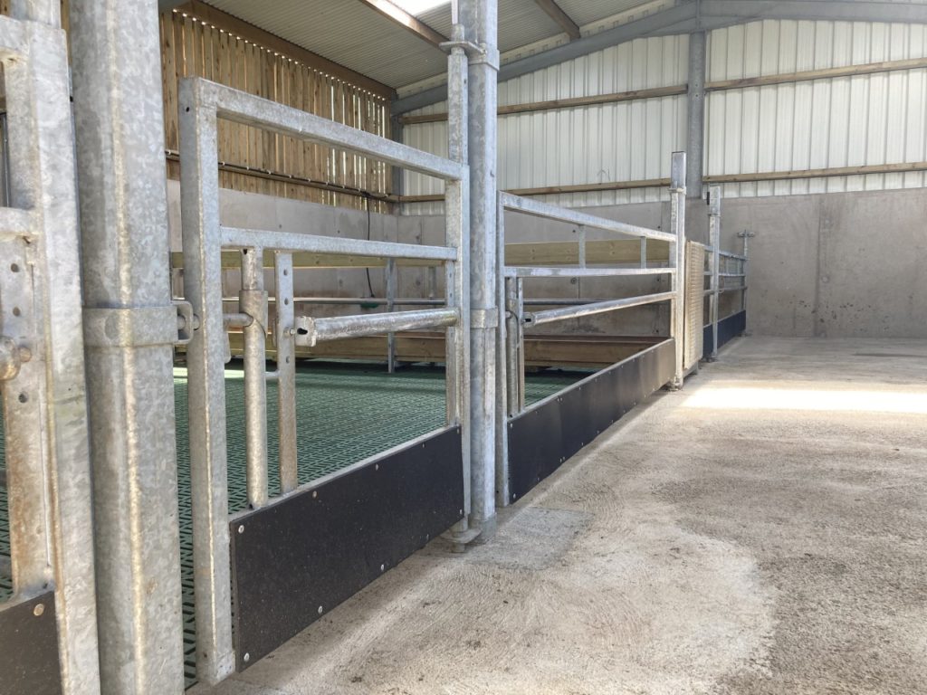 Buildings Focus: 4-bay slatted sheep shed with handling unit in Kerry