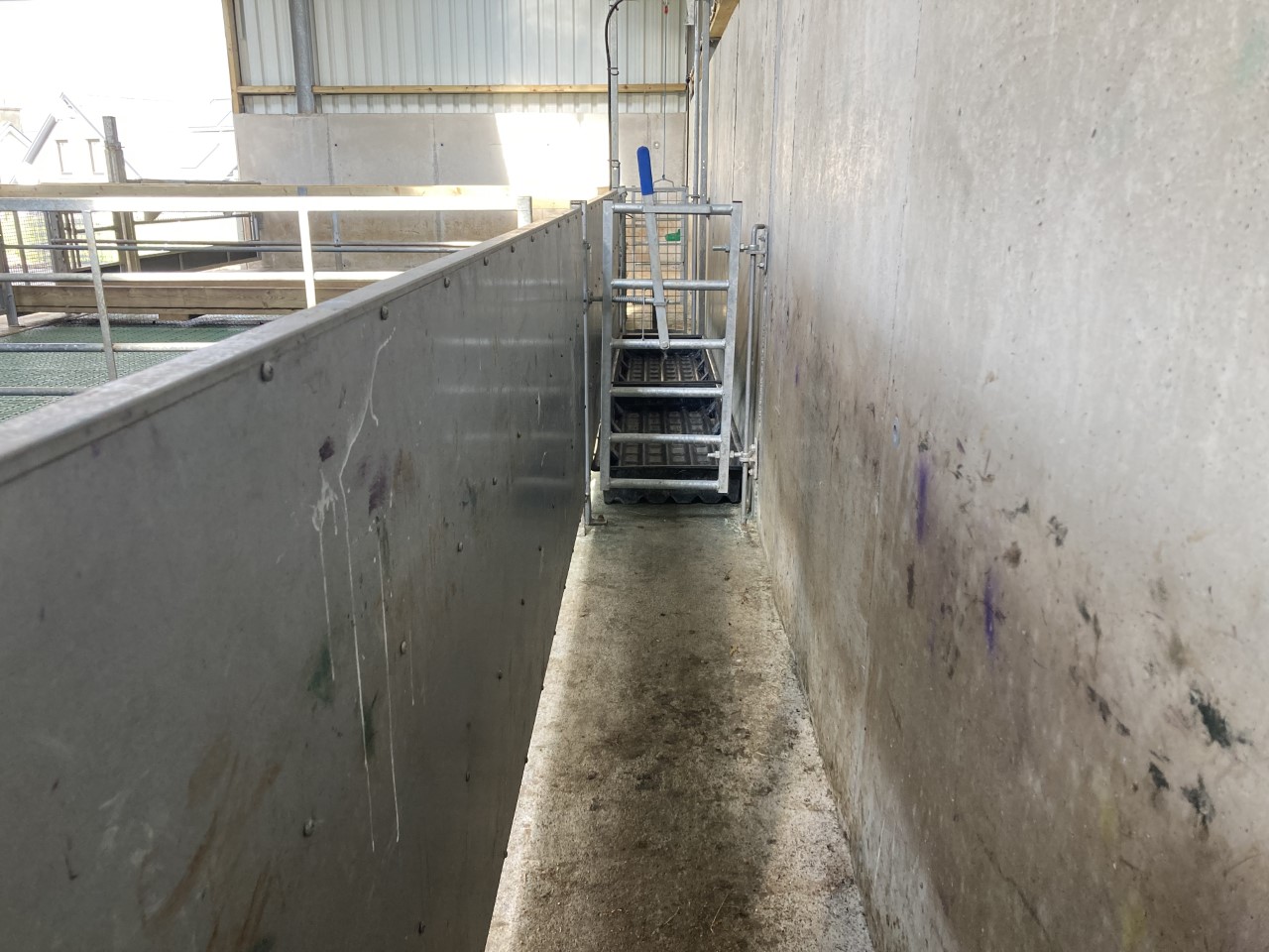 Buildings Focus: 4-bay slatted sheep shed with handling unit in Kerry