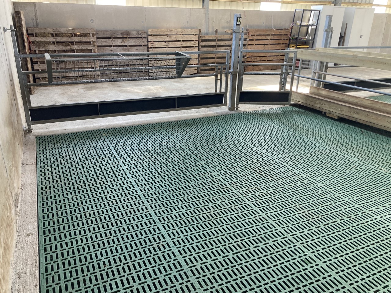 Buildings Focus: 4-bay slatted sheep shed with handling unit in Kerry