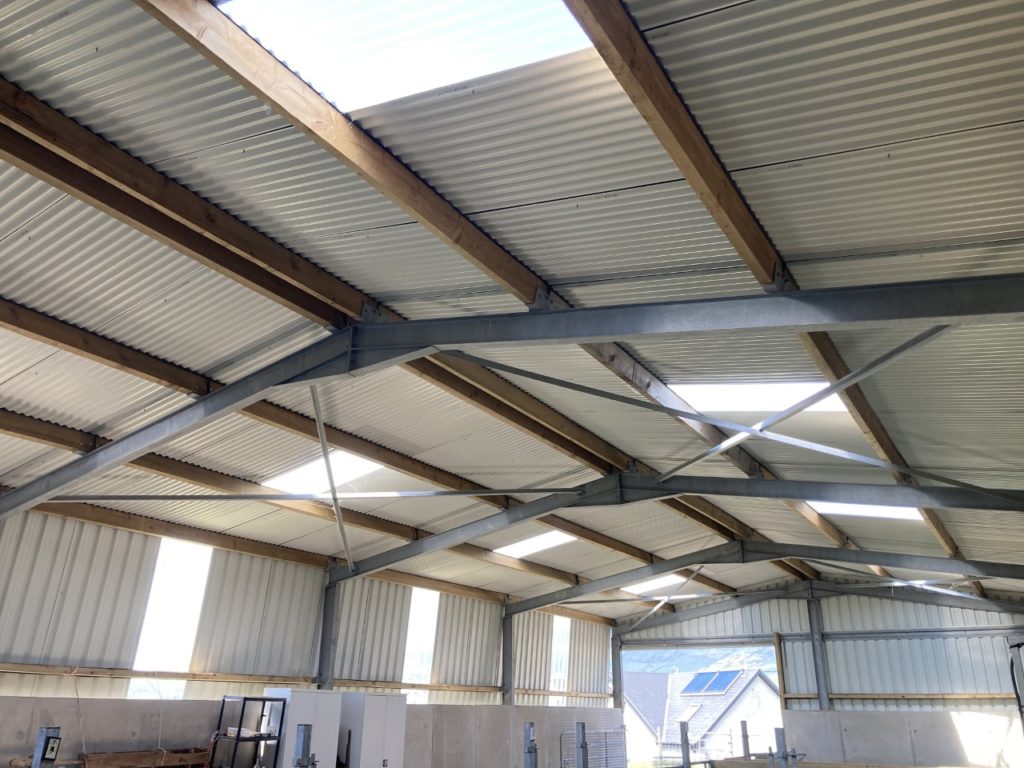 Buildings Focus: 4-bay slatted sheep shed with handling unit in Kerry
