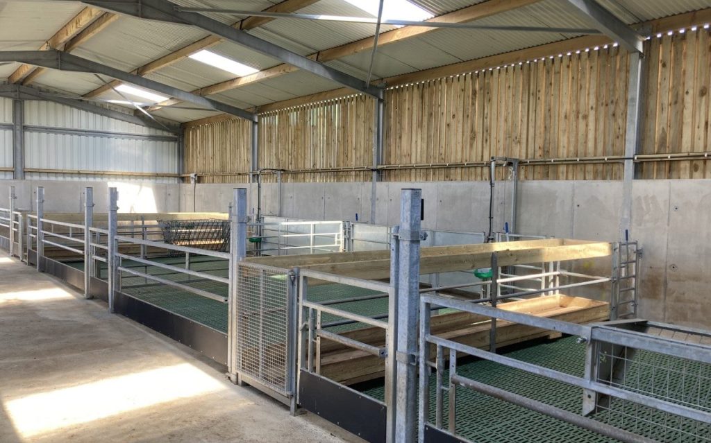 Buildings Focus: 4-bay slatted sheep shed with handling unit in Kerry