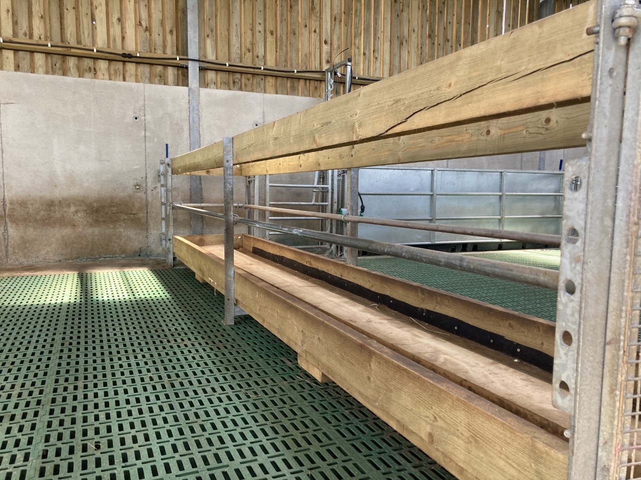 Back In Focus: 4-bay slatted sheep shed with handling unit in Kerry