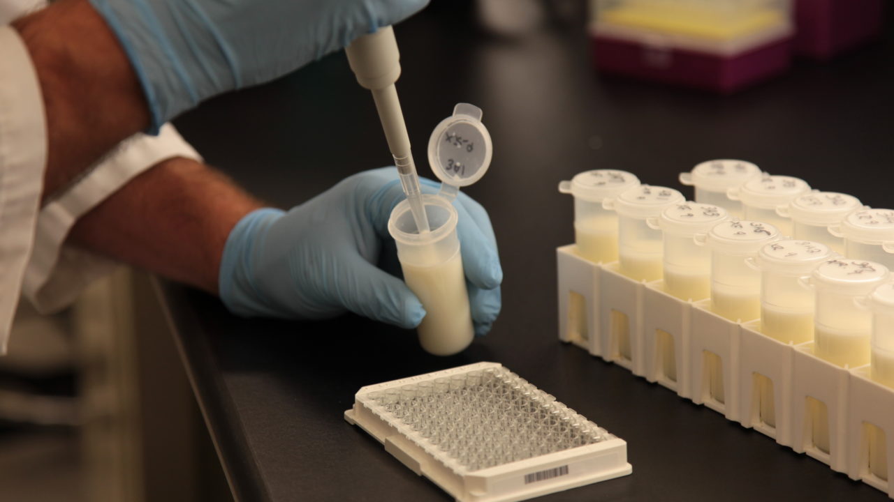 Milk pregnancy testing: Quick and easy with accurate results - Agriland.ie