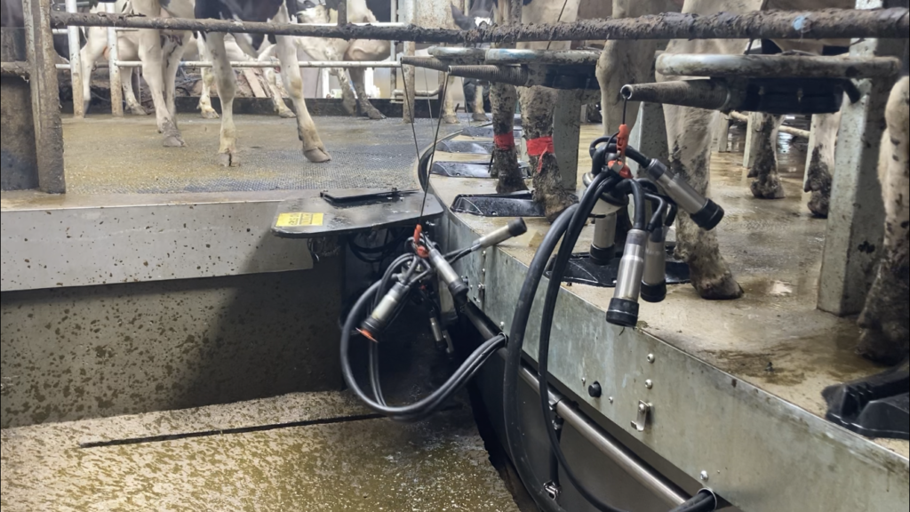 Video: 44-bail rotary in action on 300-cow farm in Cork - Agriland.ie