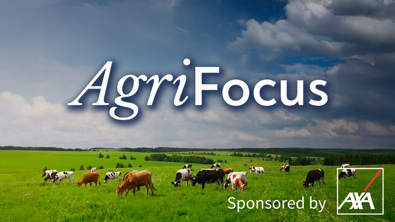 AgriFocus: Budget 2026 Special - what it means for farmers - Agriland.ie