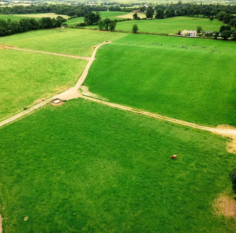 Cappamore Show-stopper: Back with a bang to celebrate 66 years