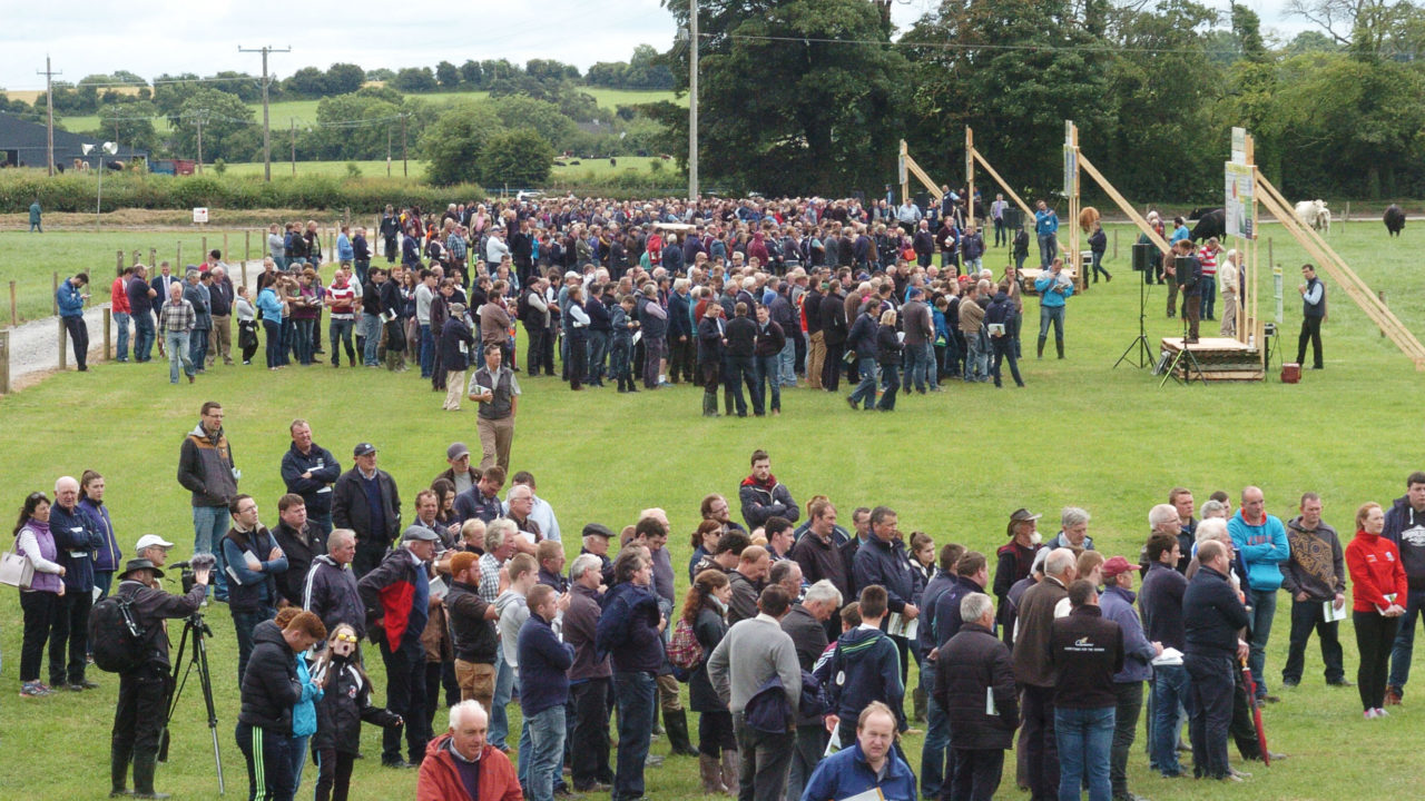 Map: Find your way around Teagasc BEEF2022 - Agriland.ie