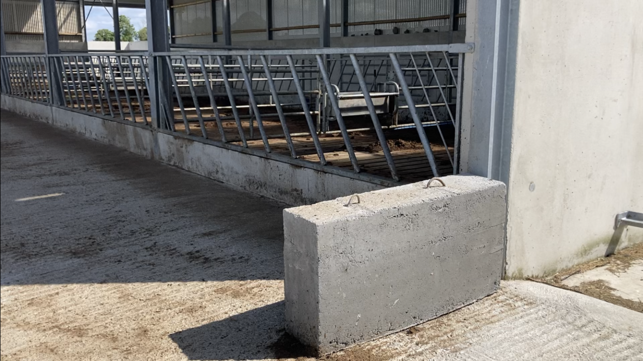 Buildings Focus: 6-bay slatted shed for Kilkenny suckler-to-beef farm