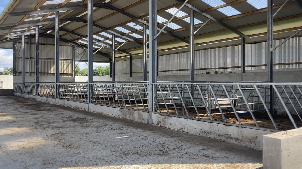 Buildings Focus: 6-bay slatted shed for Kilkenny suckler-to-beef farm
