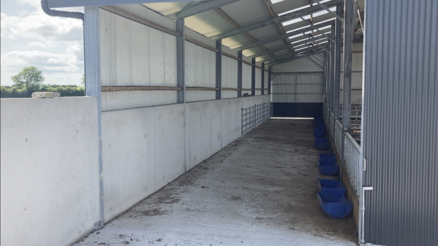 Buildings Focus: 6-bay slatted shed for Kilkenny suckler-to-beef farm