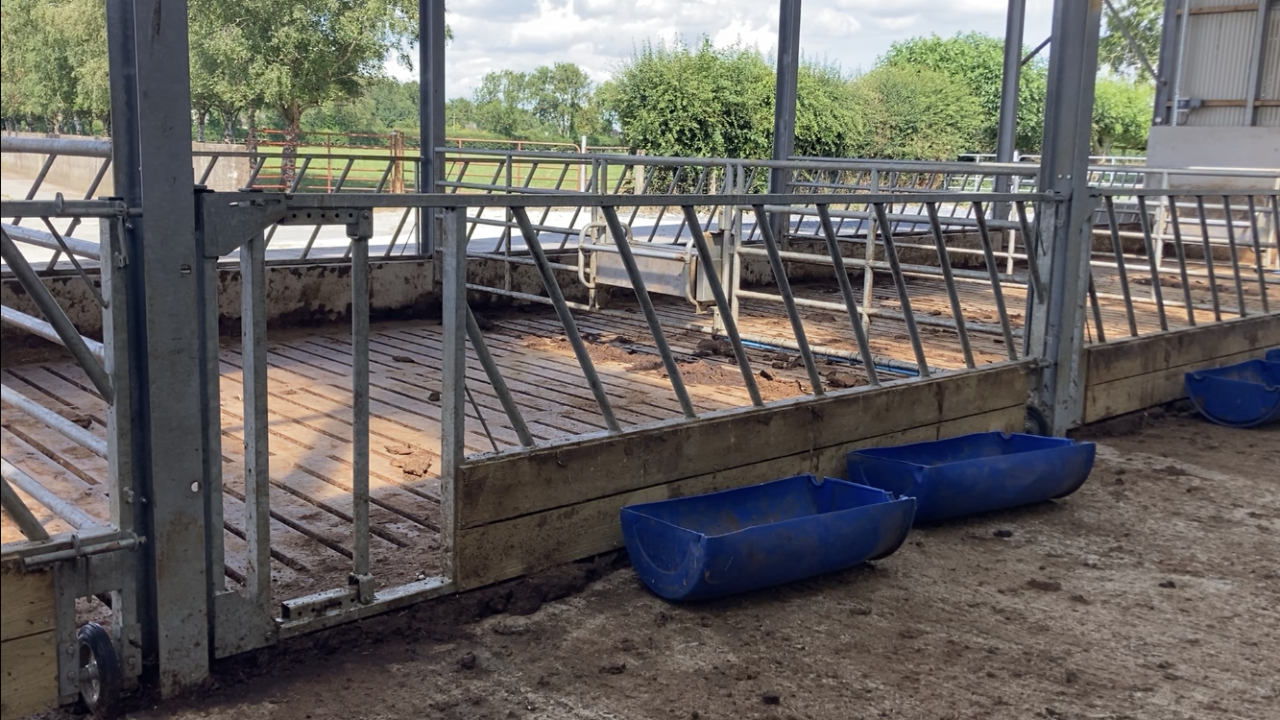 Buildings Focus: 6-bay slatted shed for Kilkenny suckler-to-beef farm