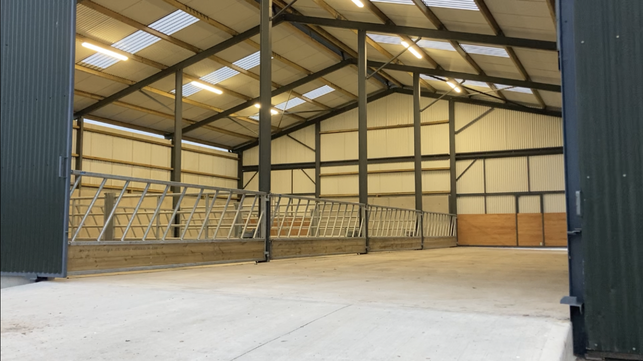 Back In Focus: 4-bay shed, with handling unit and dung stead