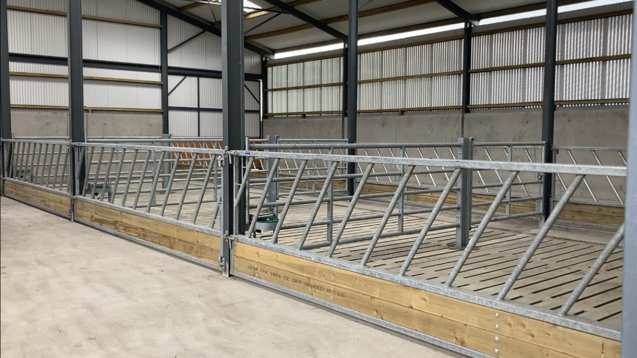 Back In Focus: 4-bay shed, with handling unit and dung stead