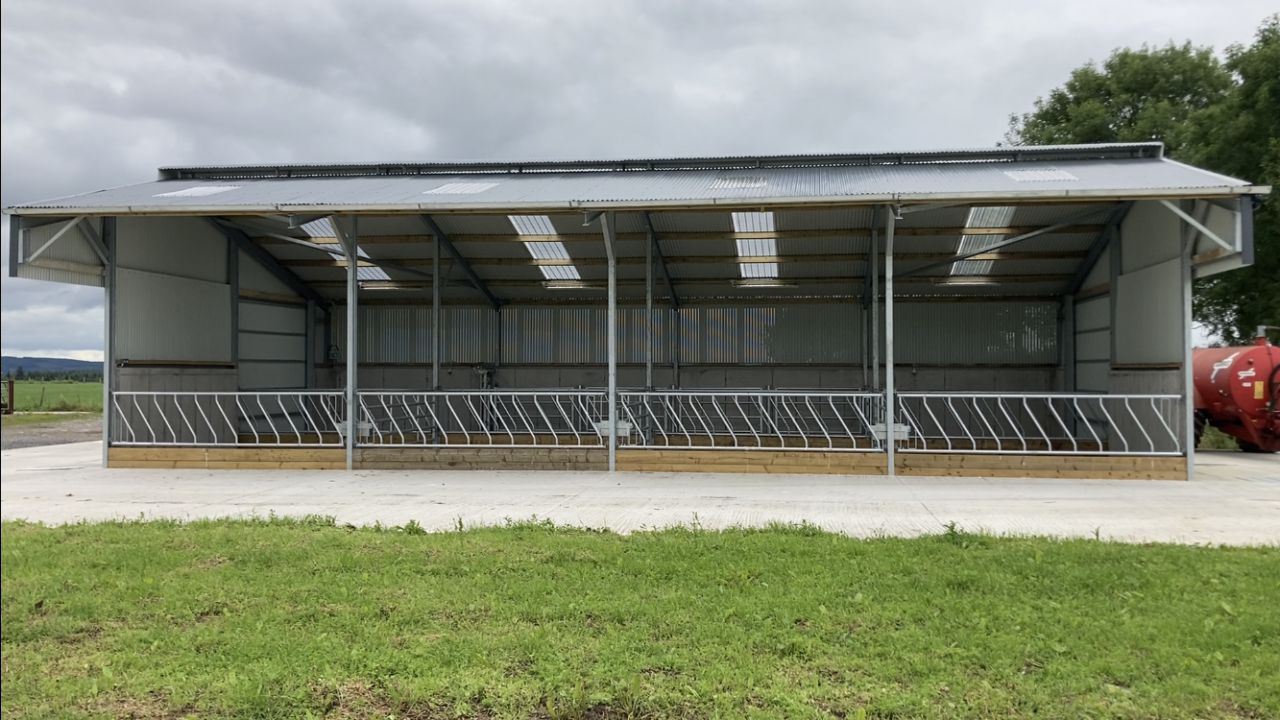 Buildings Focus: 4-bay slatted shed in Sligo for suckler-to-beef farm