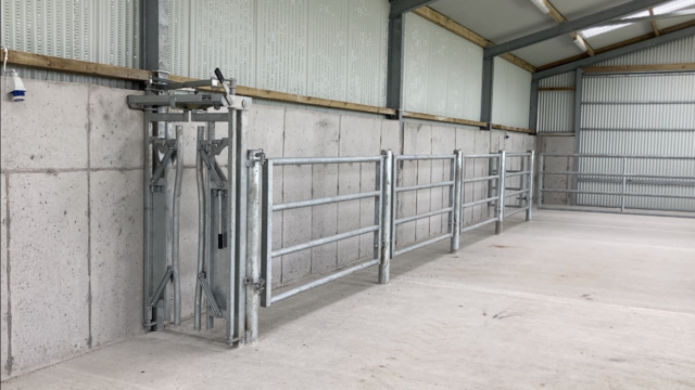 Buildings Focus: 4-bay slatted shed in Sligo for suckler-to-beef farm