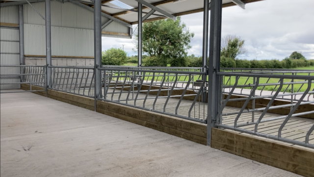 Buildings Focus: 4-bay slatted shed in Sligo for suckler-to-beef farm