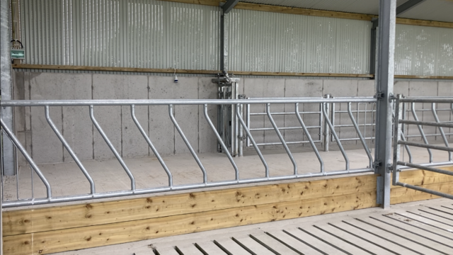 Buildings Focus: 4-bay slatted shed in Sligo for suckler-to-beef farm
