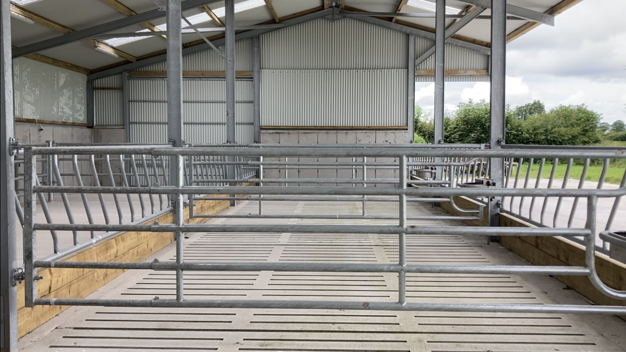 Buildings Focus: 4-bay slatted shed in Sligo for suckler-to-beef farm