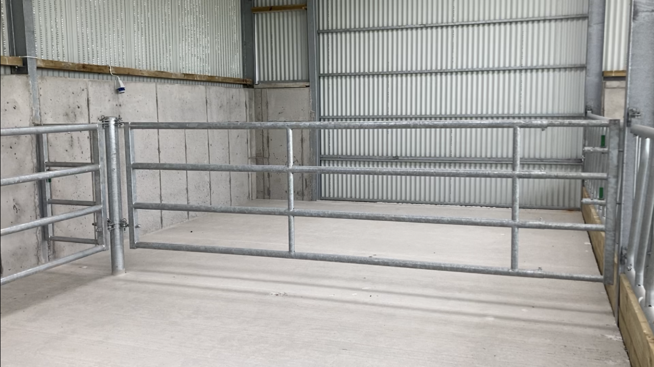 Buildings Focus: 4-bay slatted shed in Sligo for suckler-to-beef farm